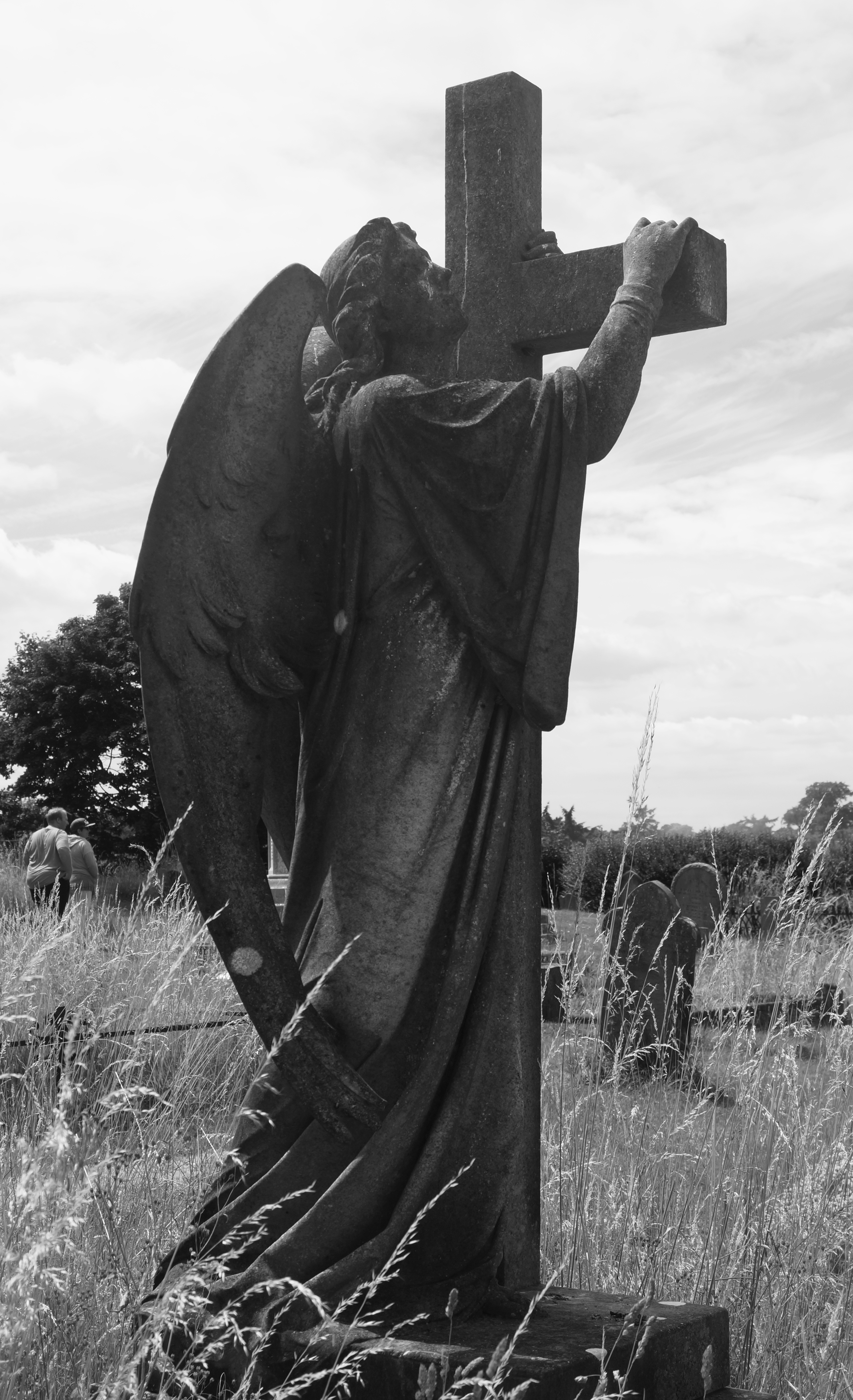 Seal 2 | THE MIDKNIGHT GARDEN: THE KNIGHTS OF THE RED ORDER